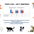 TTSPCA - Trinidad & Tobago Society for the Prevention of Cruelty to Animals